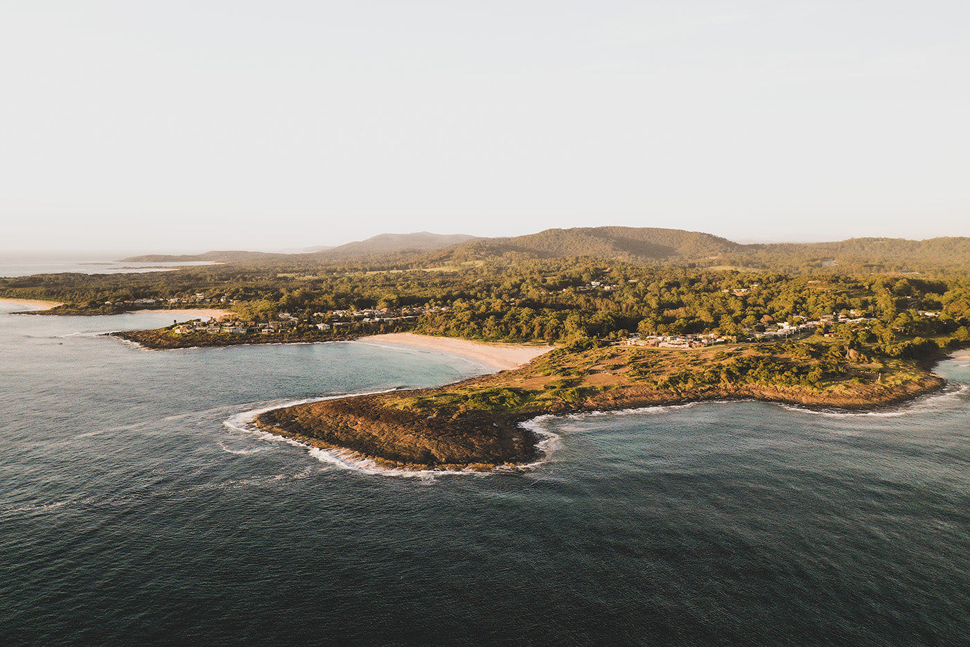 The Local Gallery – THE LOCAL GALLERY